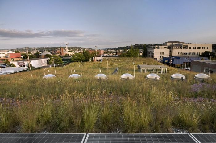Ballard Library And Neighborhood Service Center - Architectures - Jidipi
